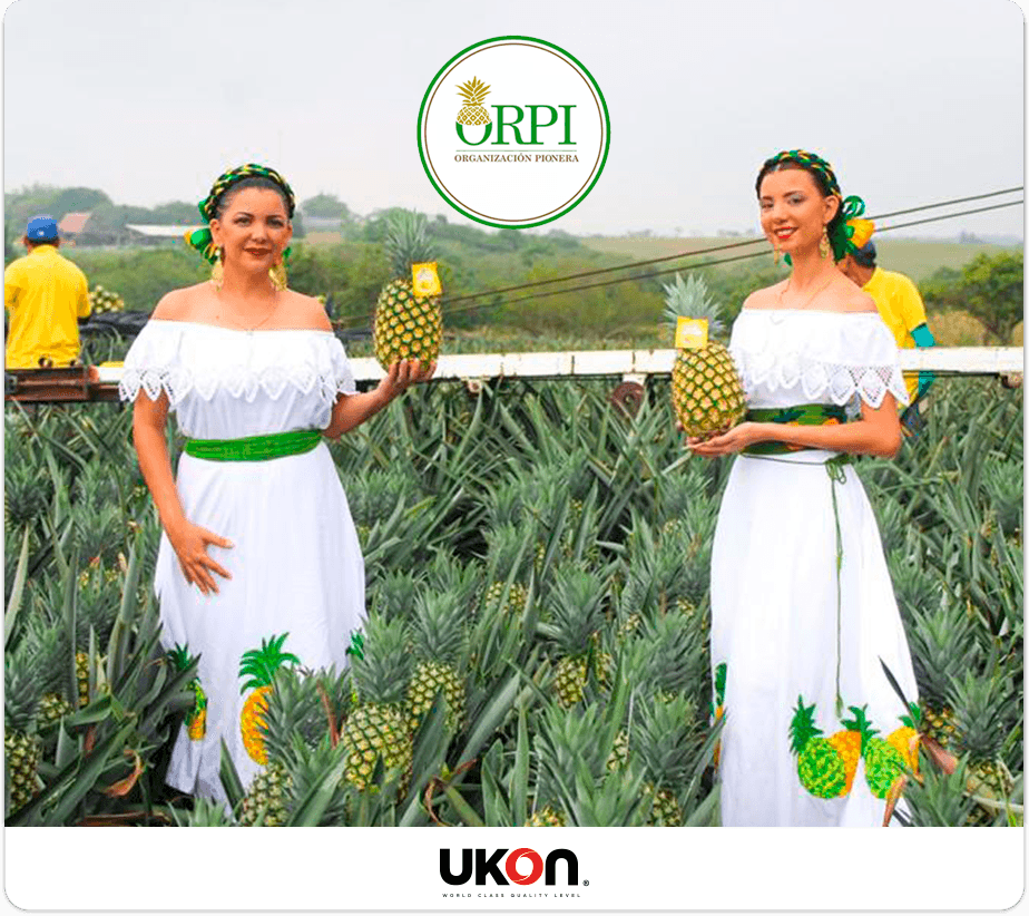 Bienvenido ORPI (ORGANIZACIÓN PIONERA)